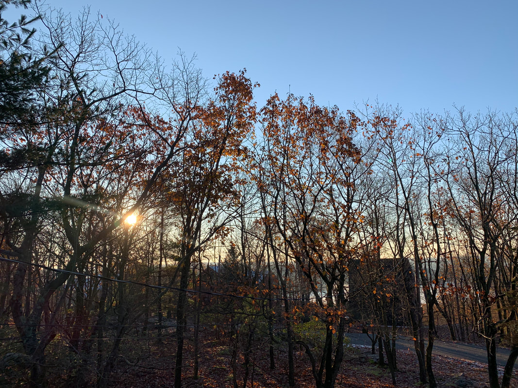 Mondays with Megan: On leaving, feeling left, and another wild ride ...